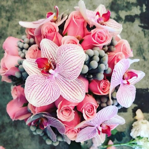 Flower Shop | Kitanim