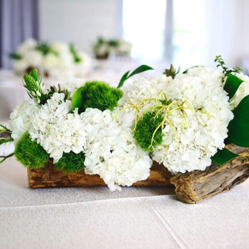 Simple Whites and Greens | Kitanim