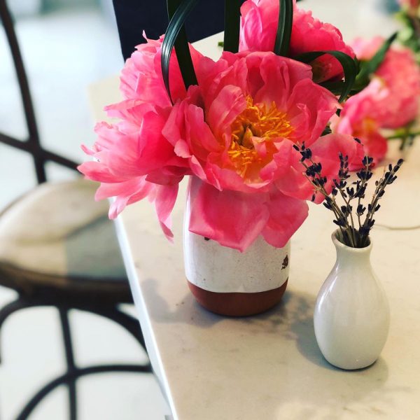 Mystery Flower Boxes | Kitanim